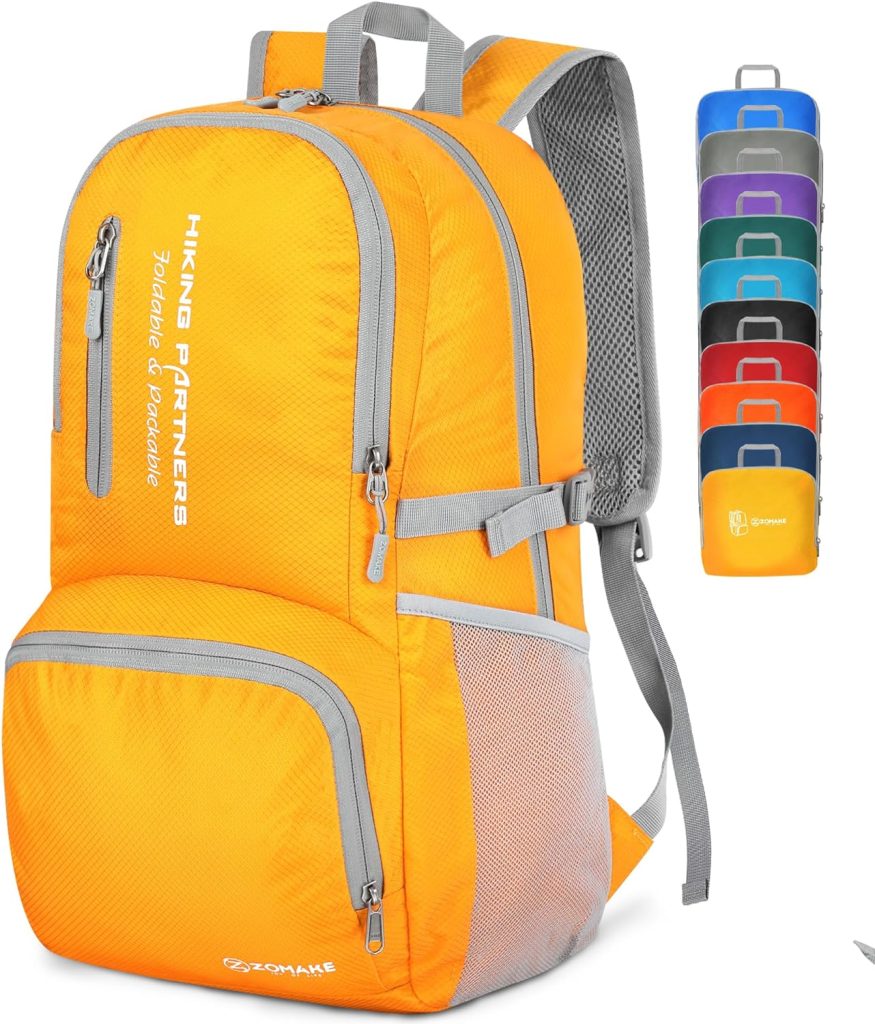 10 Best Travel Backpack for Day Trips | Top Pick of 2024